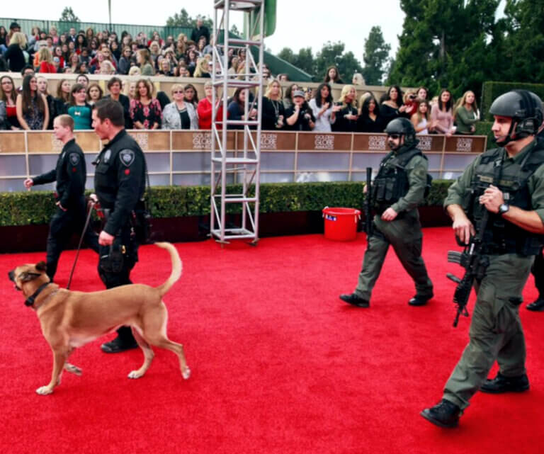 JoinBHPD.org | Beverly Hills Police Department – Answer the call & Join ...